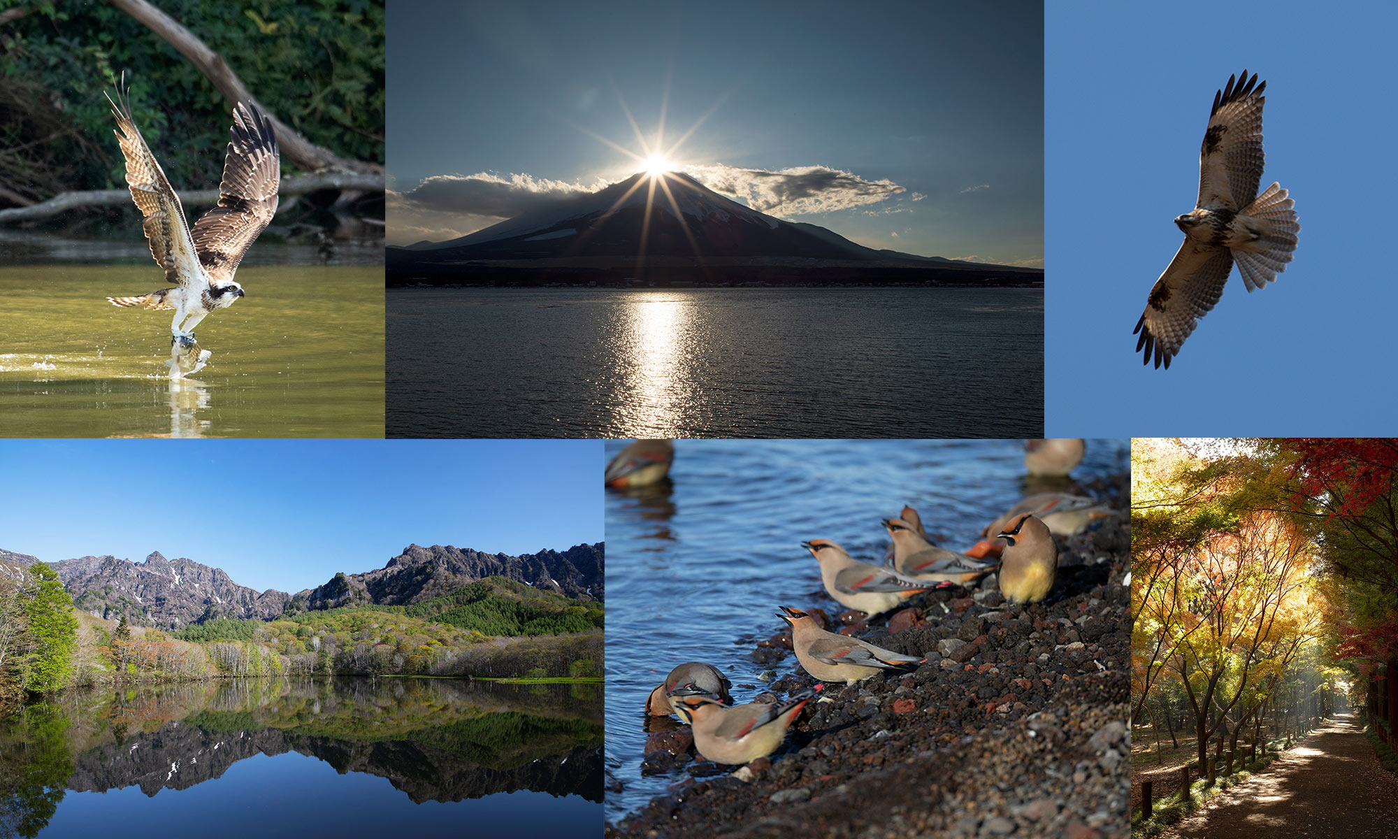 PC起動中に出た「please run SETUP program」メッセージと対応 | 野鳥と富士山と気ままな写真