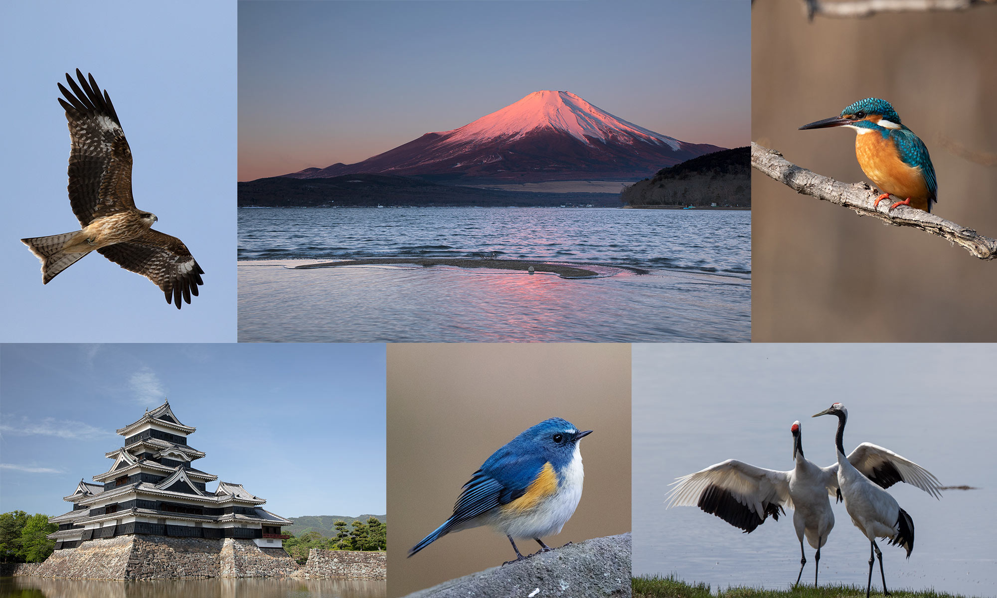 PC起動中に出た「please run SETUP program」メッセージと対応 | 野鳥と富士山と気ままな写真