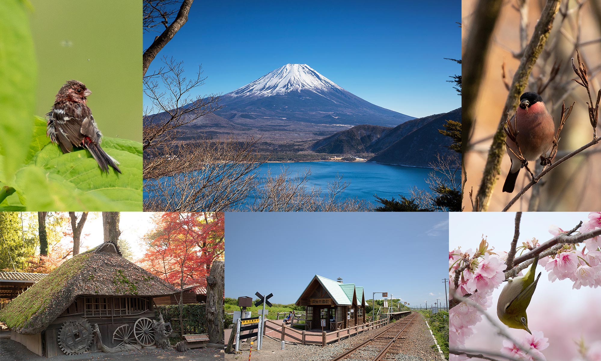 PC起動中に出た「please run SETUP program」メッセージと対応 | 野鳥と富士山と気ままな写真